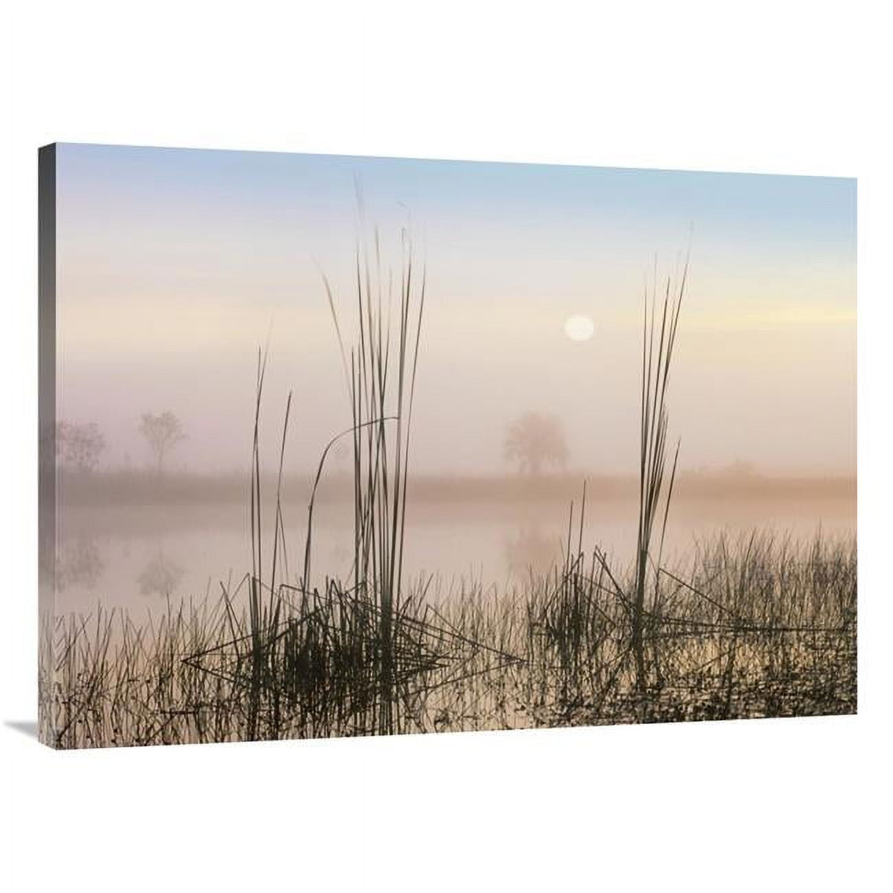 30 x 40 in. Reeds in Sweet Bay Pond, Everglades National Park, Florida ...