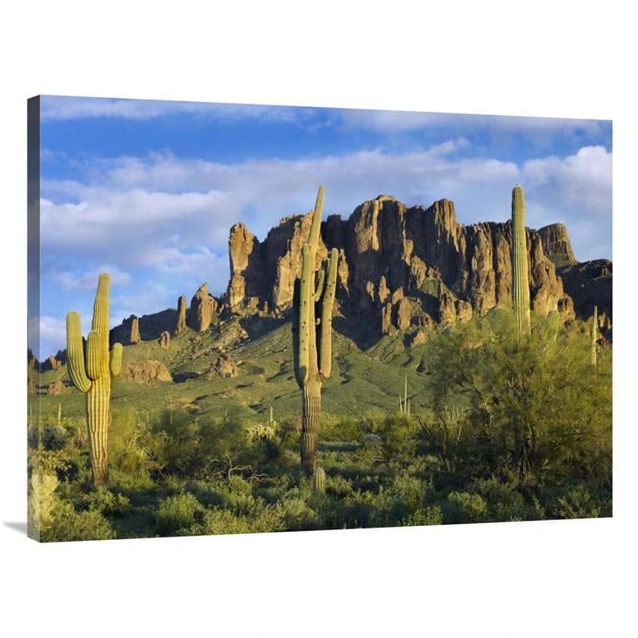 30 x 40 in. Saguaro Cacti & Superstition Mountains at Lost Dutchman ...