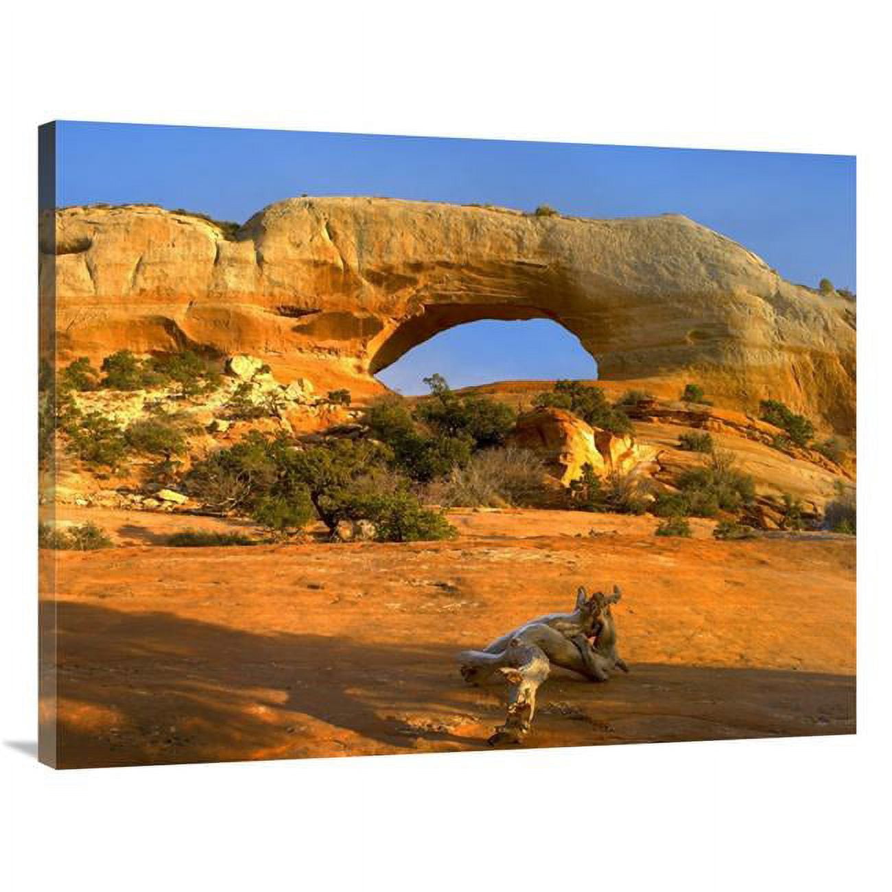 30 x 40 in. Wilson Arch with A Span of 91 ft. & Height of 46 ft., Made ...