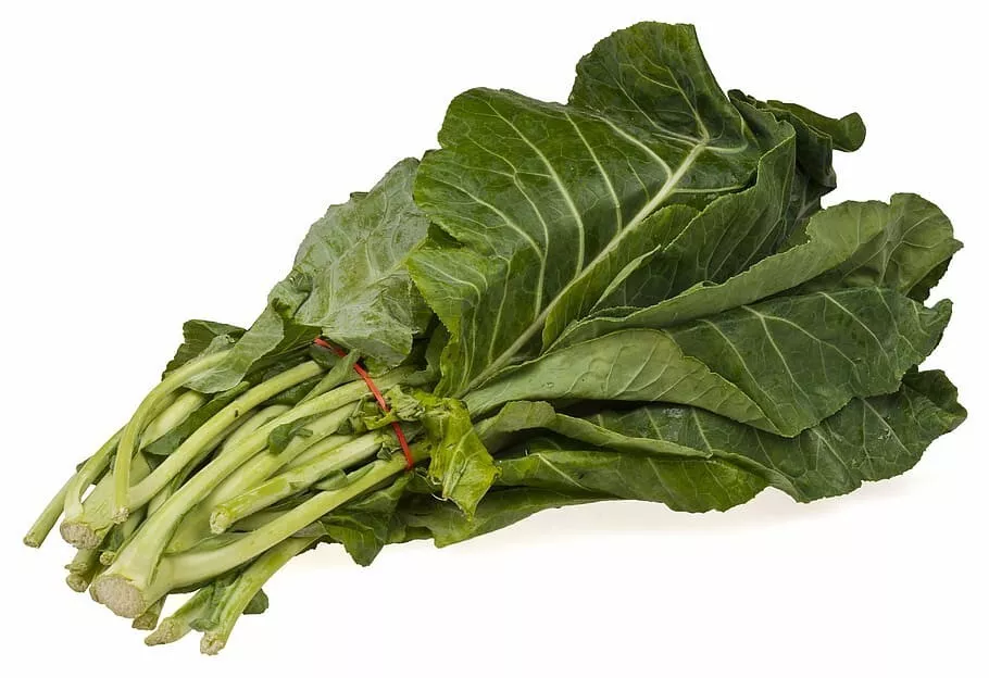 300 Champion Collard Greens Seeds - Heirloom Non-GMO Collard Green ...