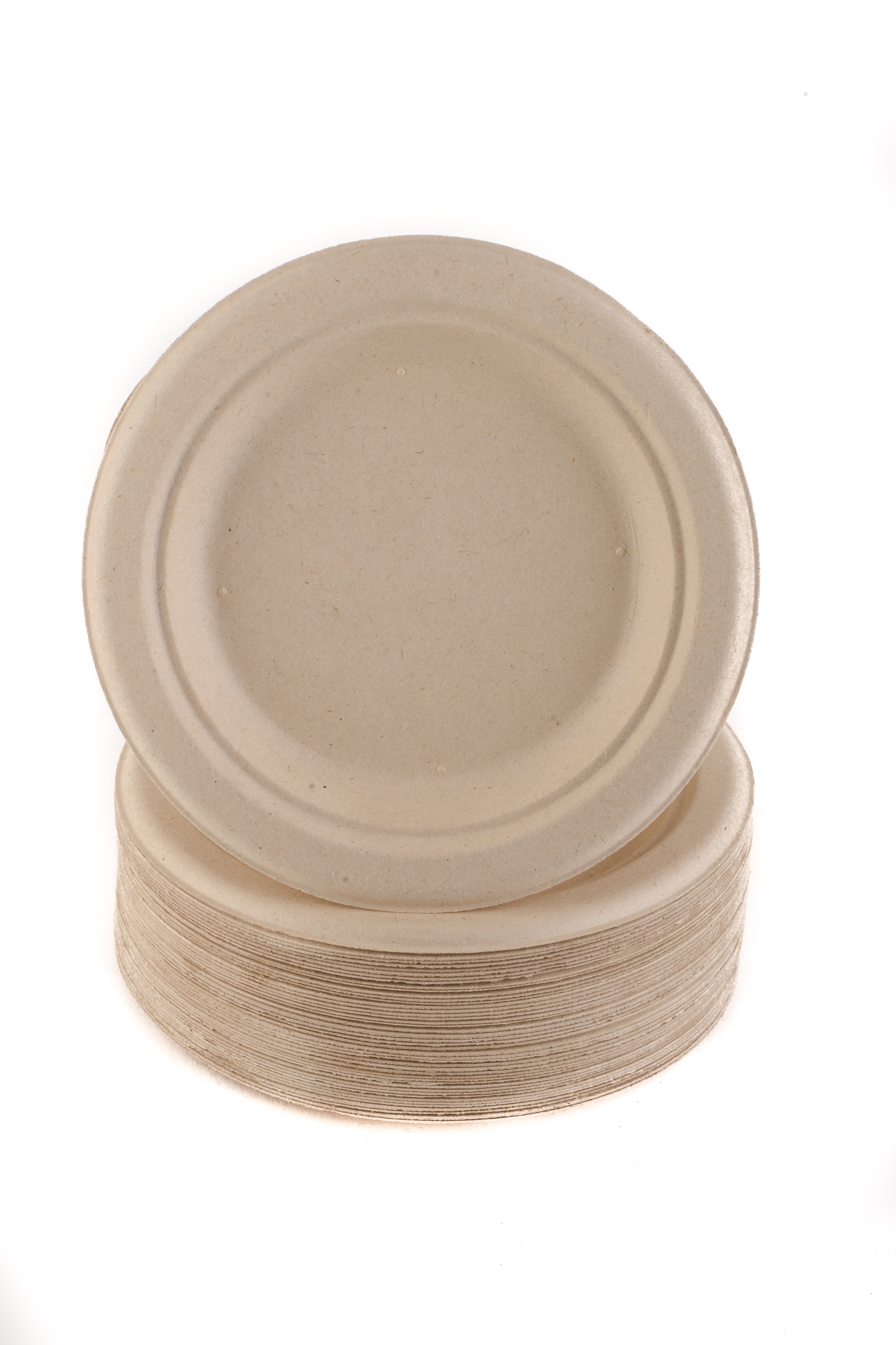 [300 Count] 100% Compostable 6-Inch Plates EcoQuality - Natural ...