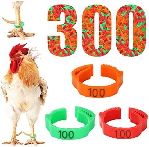 300 PCS Chicken Leg Bands with 3 Colors, Numbered Chicken Leg Rings ...