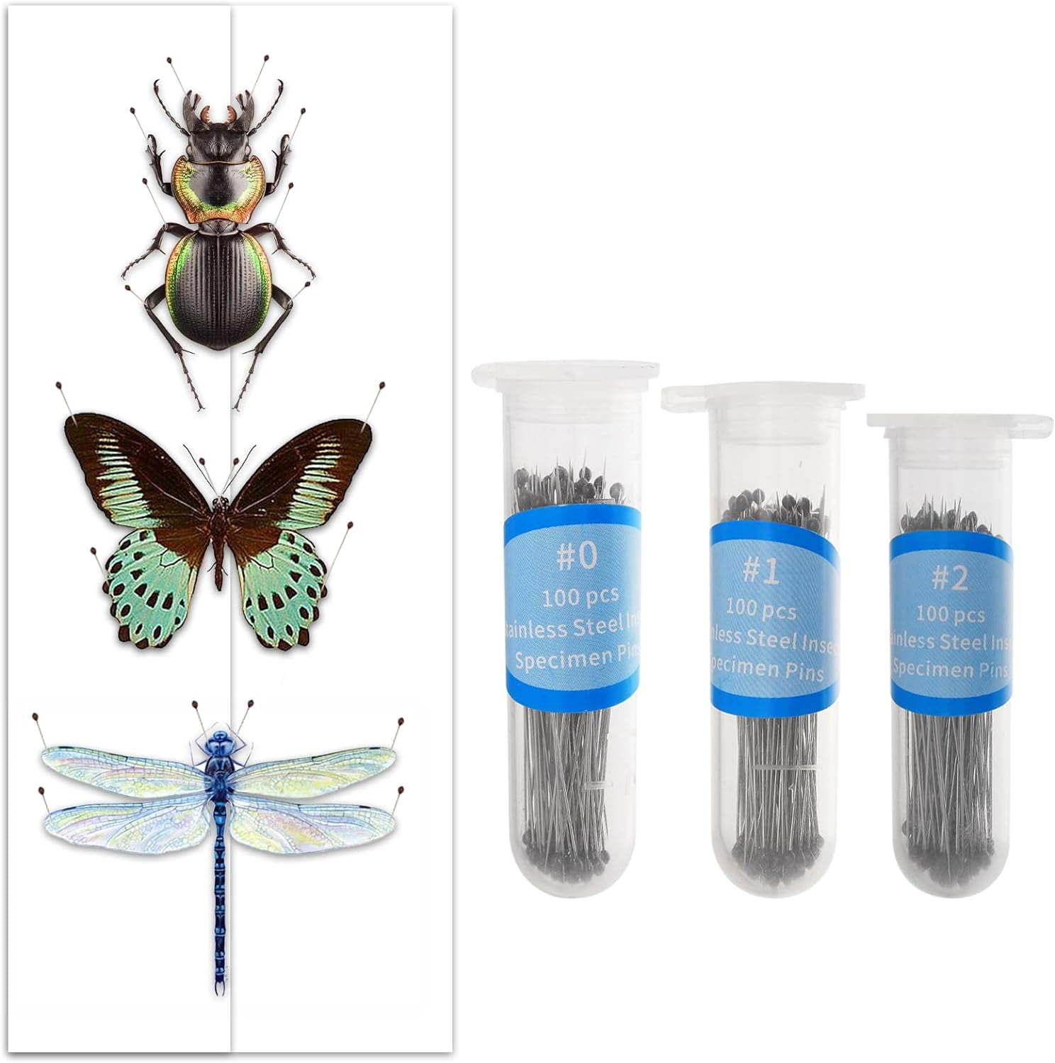 300 PCS Insect Specimen Pins in 3 Sizes Stainless Steel Insect Pins ...
