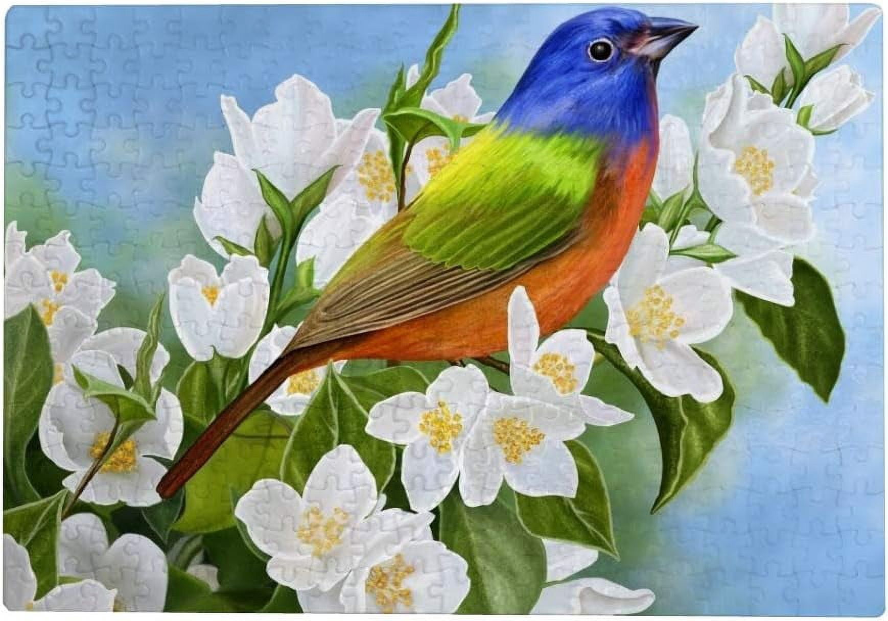 300 PCS Jigsaw Puzzles Artwork Gift for Adults Teens, 10.6"x 15.5" Bird ...