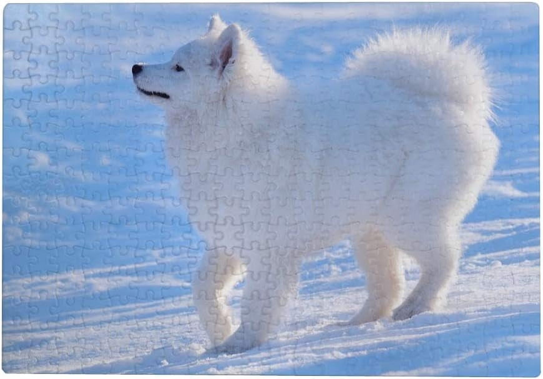 300 PCS Jigsaw Puzzles Artwork Gift for Adults Teens, 10.6"x 15.5 ...