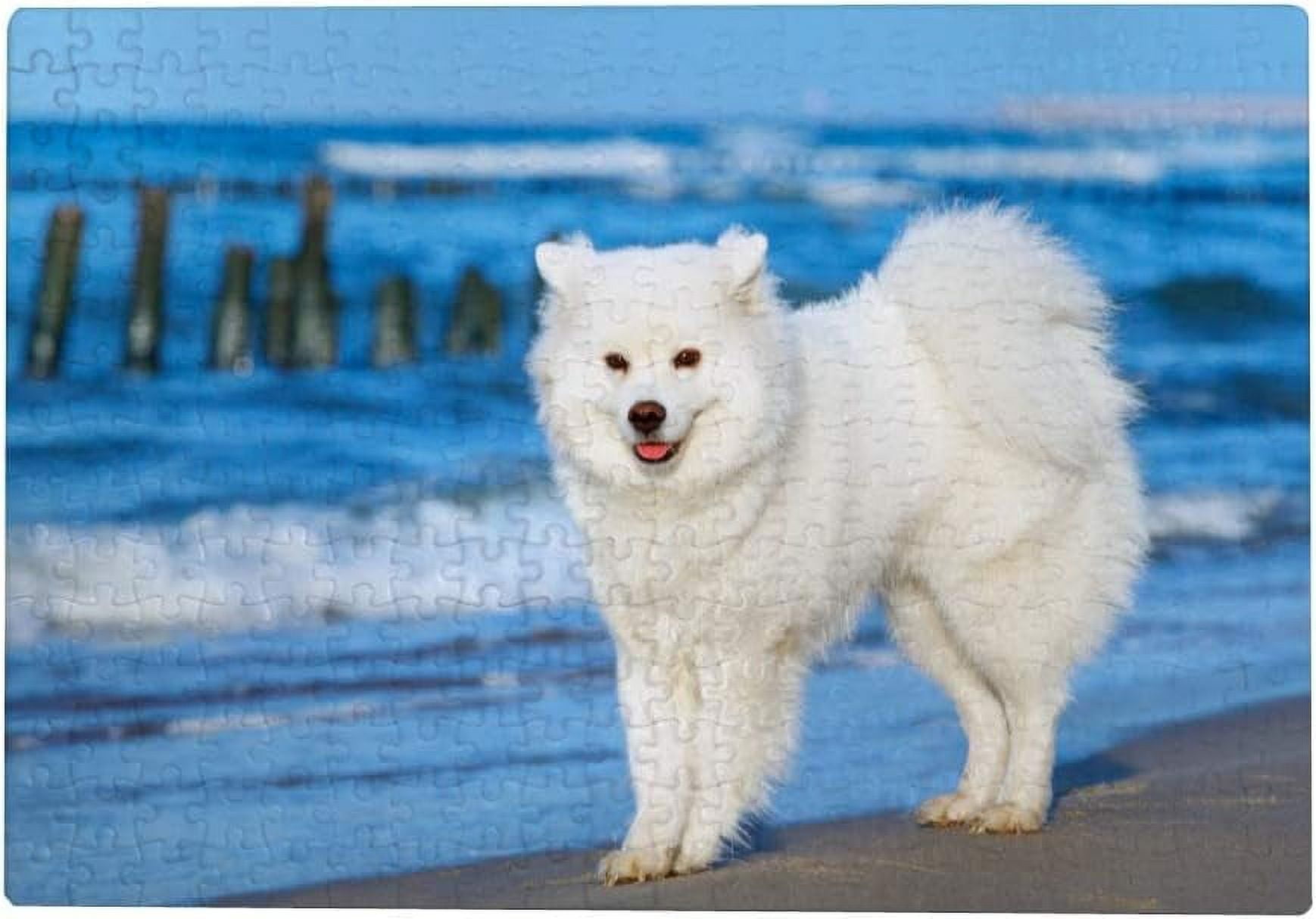 300 PCS Jigsaw Puzzles Artwork Gift for Adults Teens, 10.6"x 15.5 ...