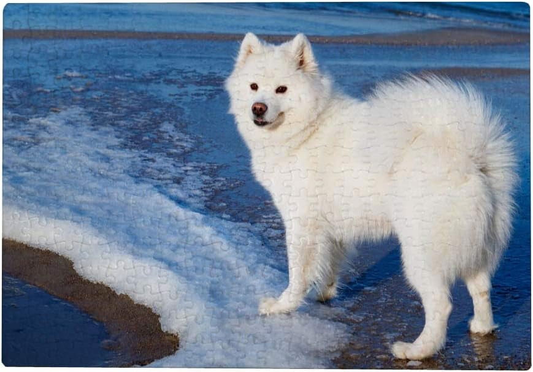 300 PCS Jigsaw Puzzles Artwork Gift for Adults Teens, 10.6"x 15.5 ...