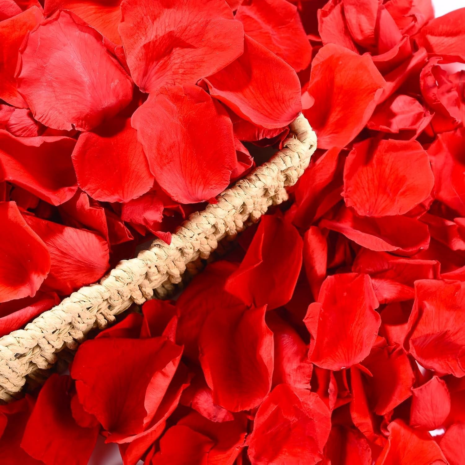 300 PCS Red Dired Rose Petals 2.82oz/80g Natural Real Rose Flower ...