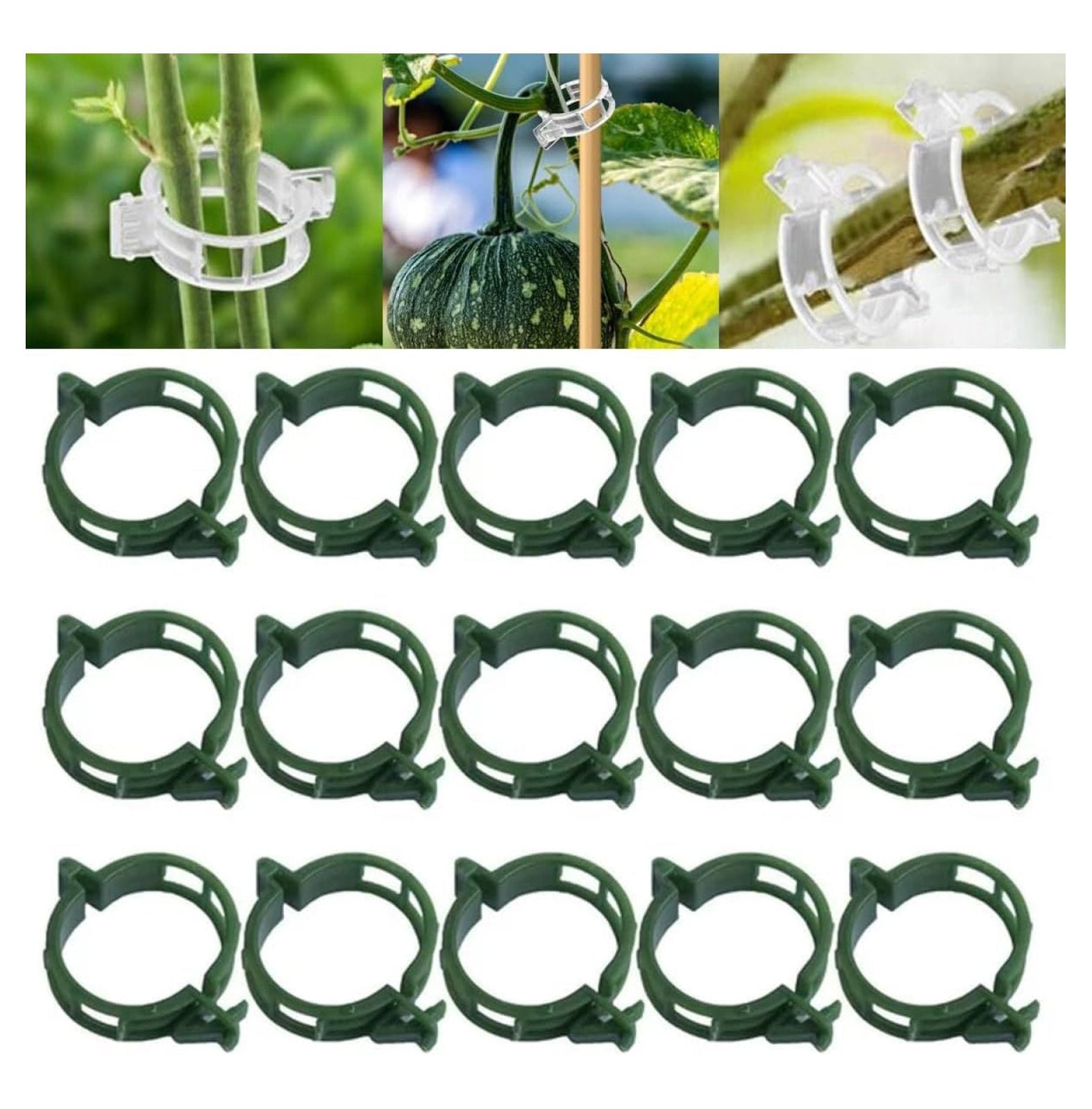 300 PCS Secured Plastic Plant Clip,Plant Fixing Clips Tomato Clips ...