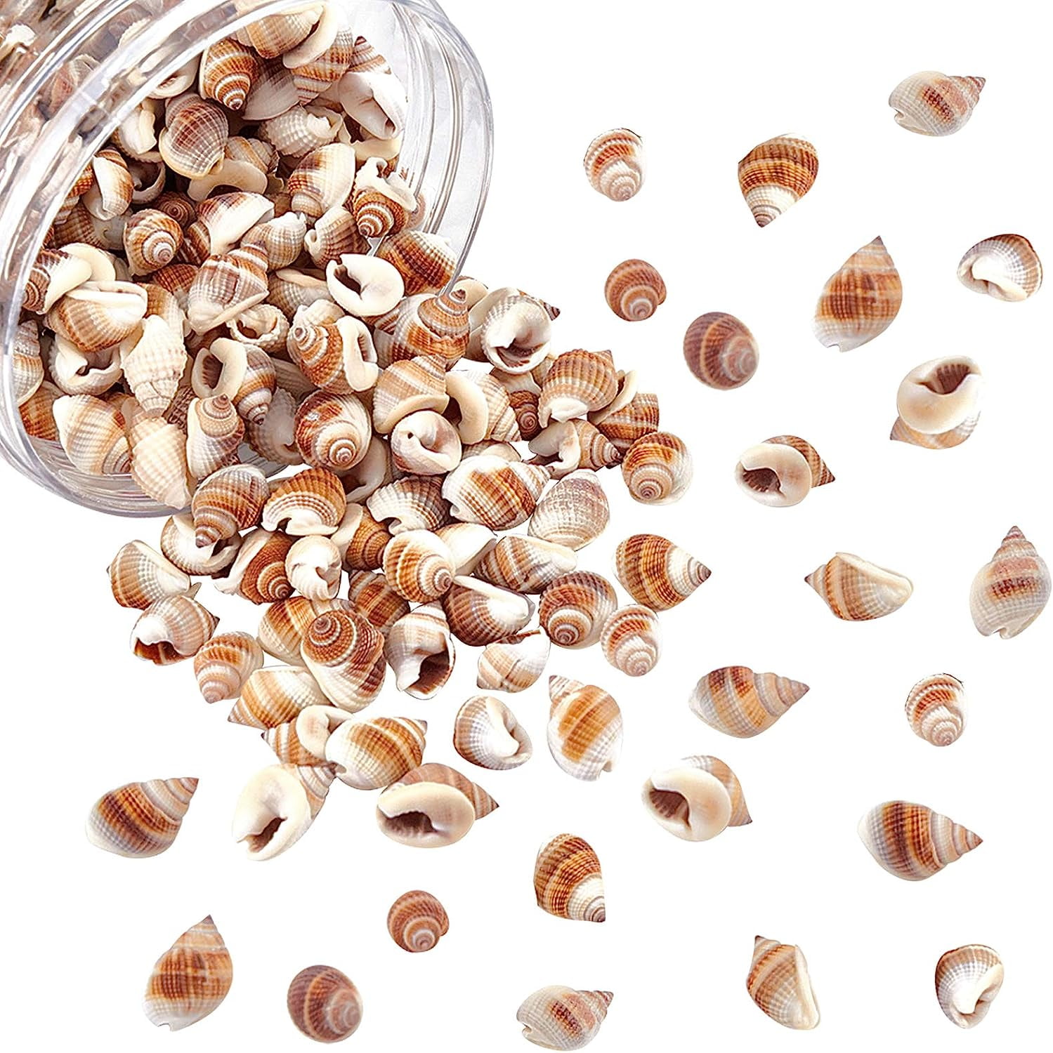 About 300 Pcs Natural Spiral Shell Beads Undrilled Seashell Beads Beach ...