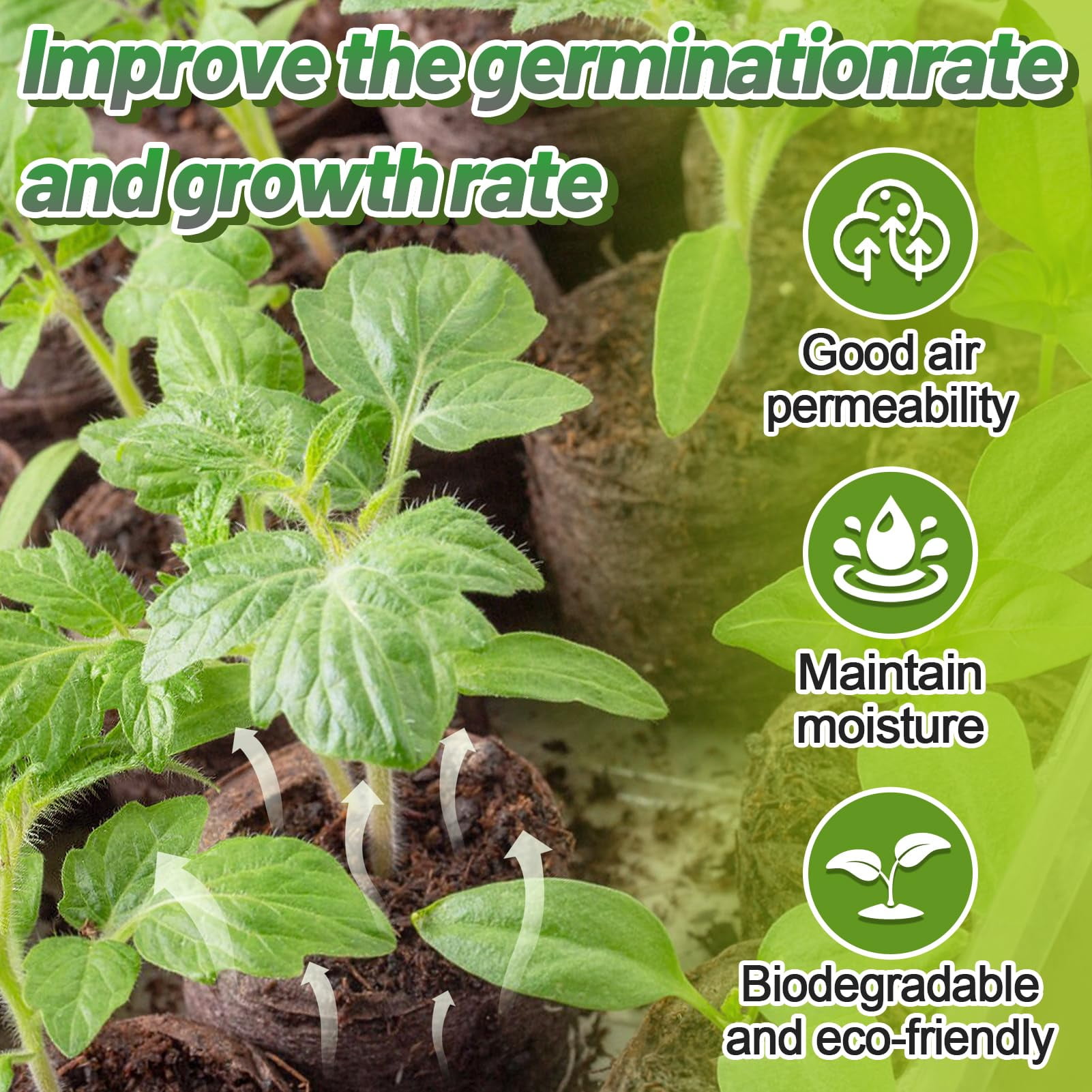 300 Pcs Peat FEV6 Pellets for Seedling - 30mm Seeds Starting Plugs ...