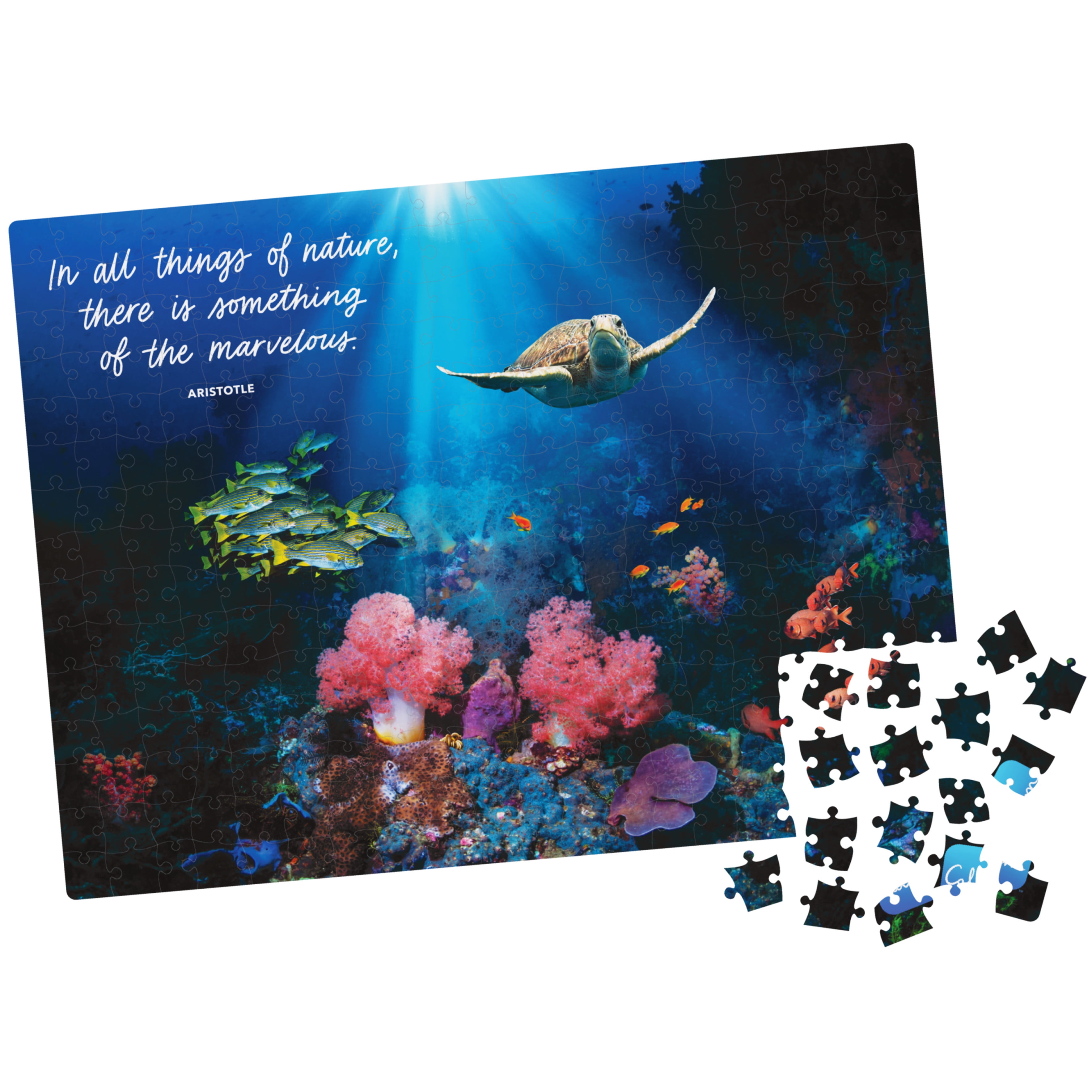 300-Piece Calm Jigsaw Puzzle for Stress Relief, Calm Coral - Walmart.com