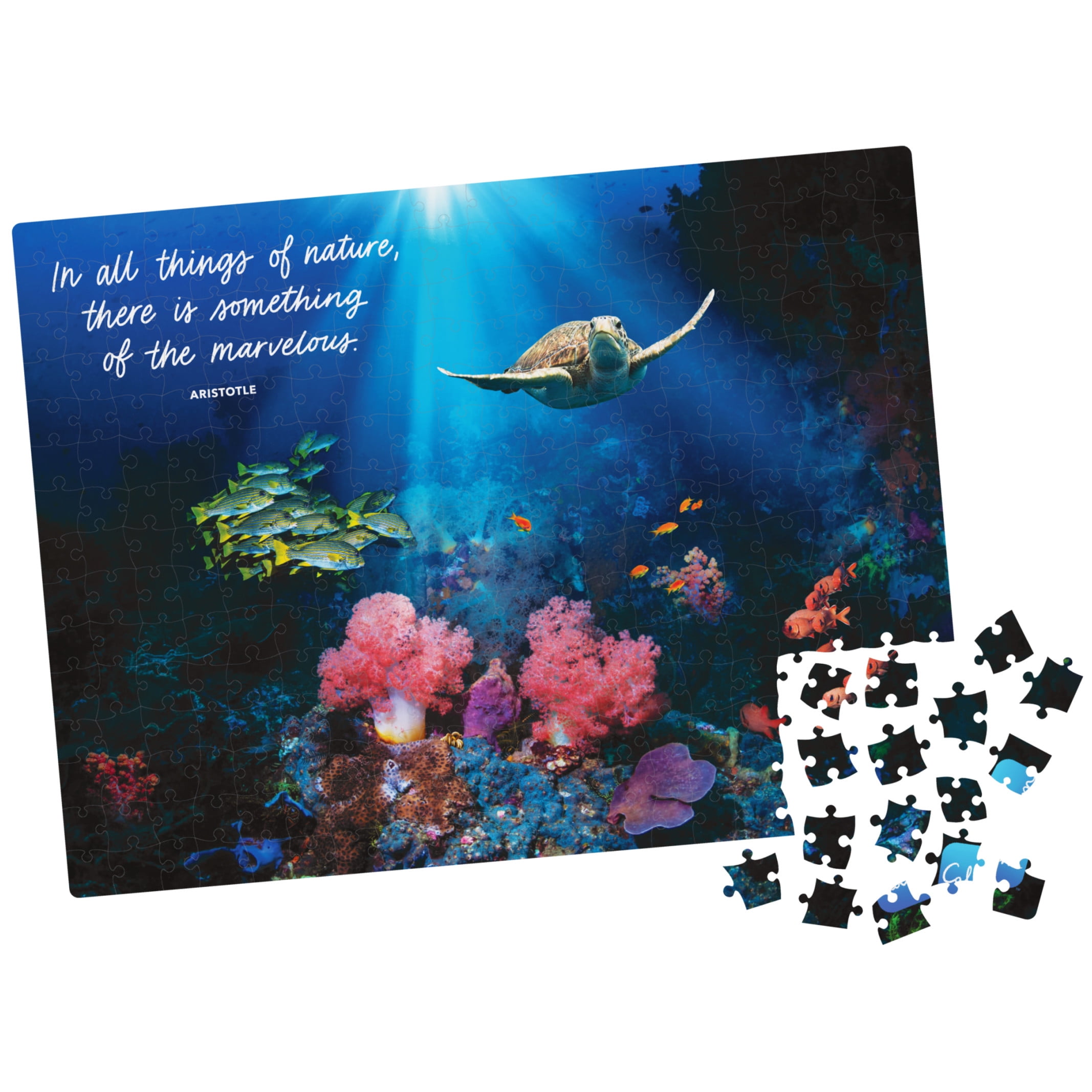 300-Piece Calm Jigsaw Puzzle for Stress Relief, Calm Coral - Walmart.com
