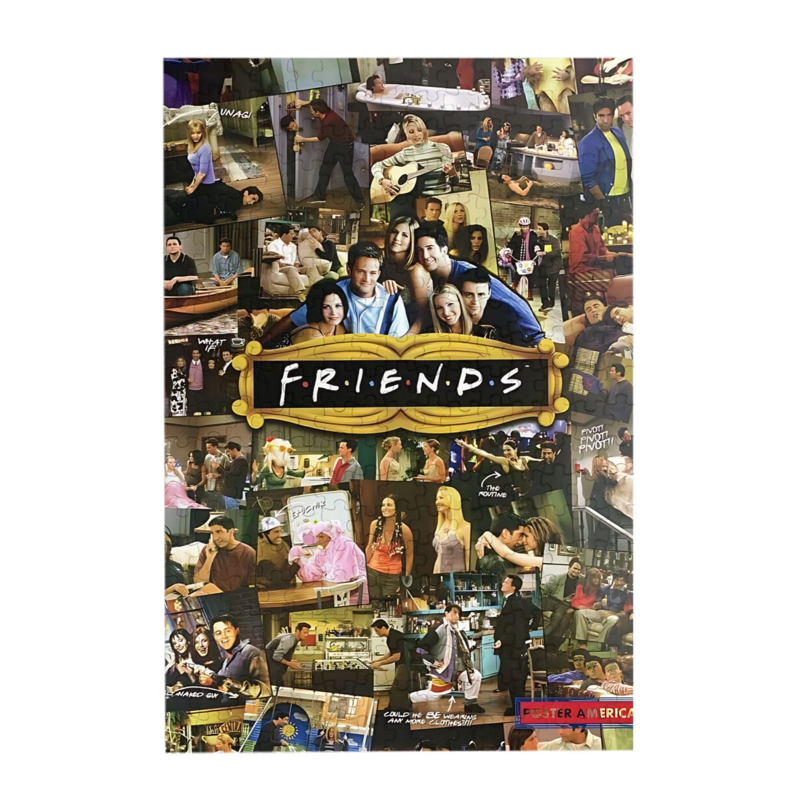 300 Piece Friends Tv Show Jigsaw Puzzle for Adults Leisure Gift for ...