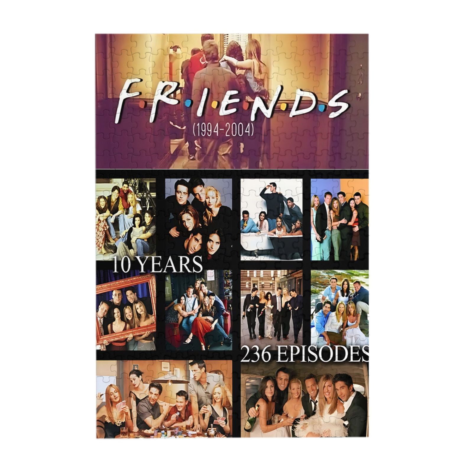 300 Piece Friends Tv Show Jigsaw Puzzle for Adults Leisure Gift for ...