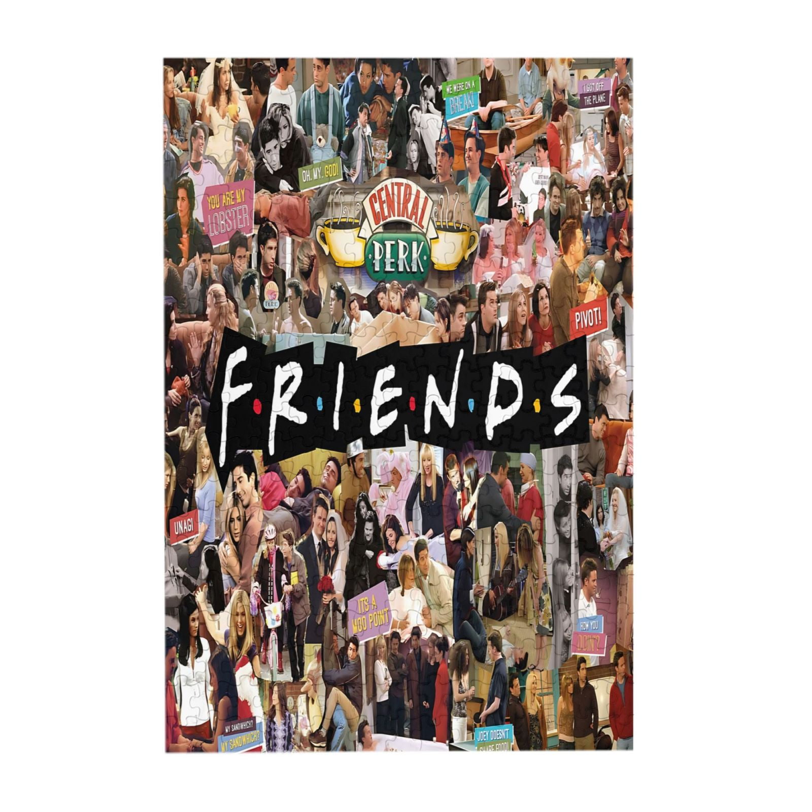 300 Piece Friends Tv Show Jigsaw Puzzle for Adults Leisure Gift for ...