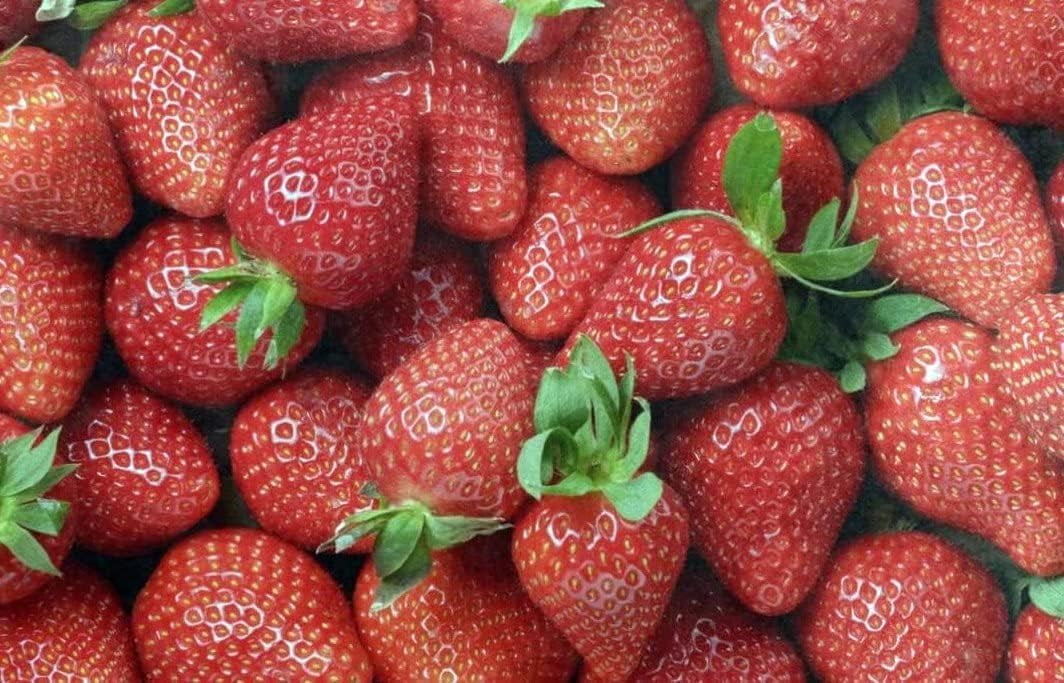 300 Piece Jigsaw Puzzle Strawberry Fruit School Supplies Challenge ...