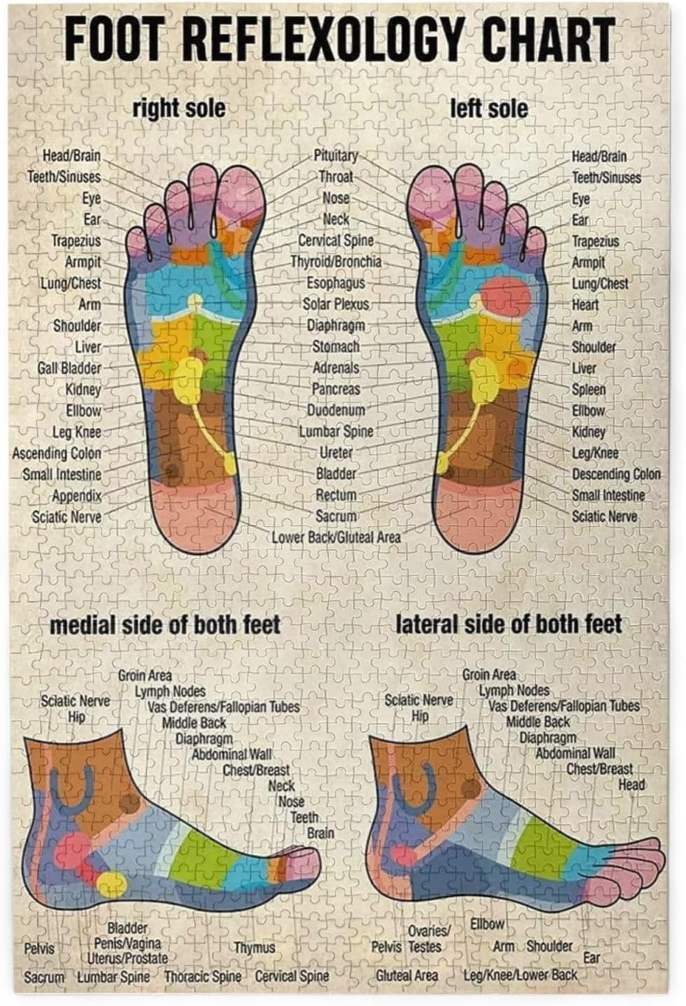 300 Piece Jigsaw Puzzles Foot Reflexology Chart Infographic Posters ...