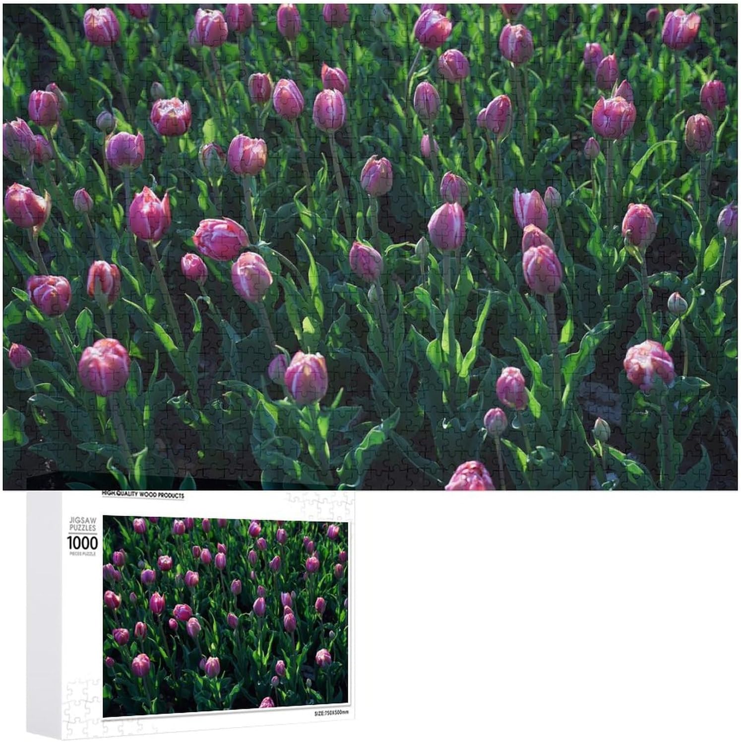 300 Piece Jigsaw Puzzles Tulips Tulip Humilis Flower of Hokkaido Jigsaw ...