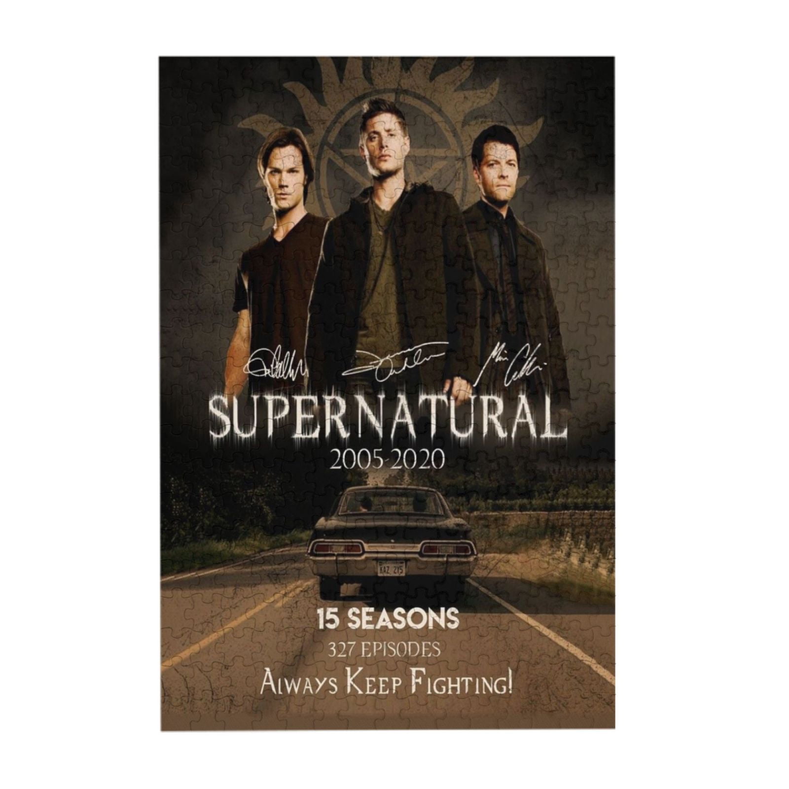 300 Piece Supernatural Jigsaw Puzzle for Adults Leisure Gift for ...