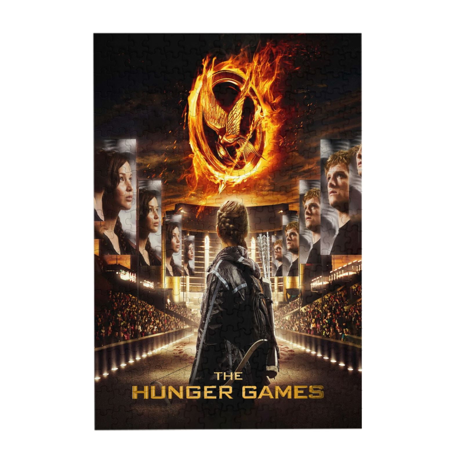 300 Piece Hunger Gam-e Jigsaw Puzzle for Adults Leisure Gift for ...
