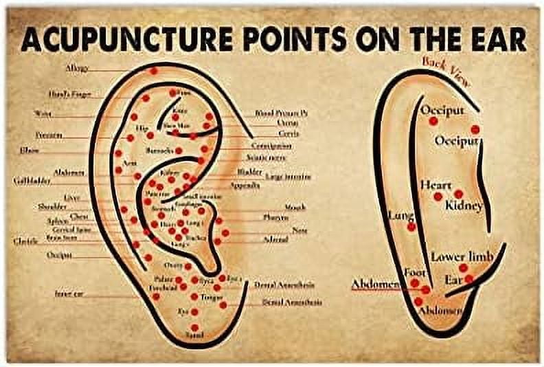 300 Piece Wooden Puzzle for Adults Acupuncture Points On The Ear Jigsaw ...