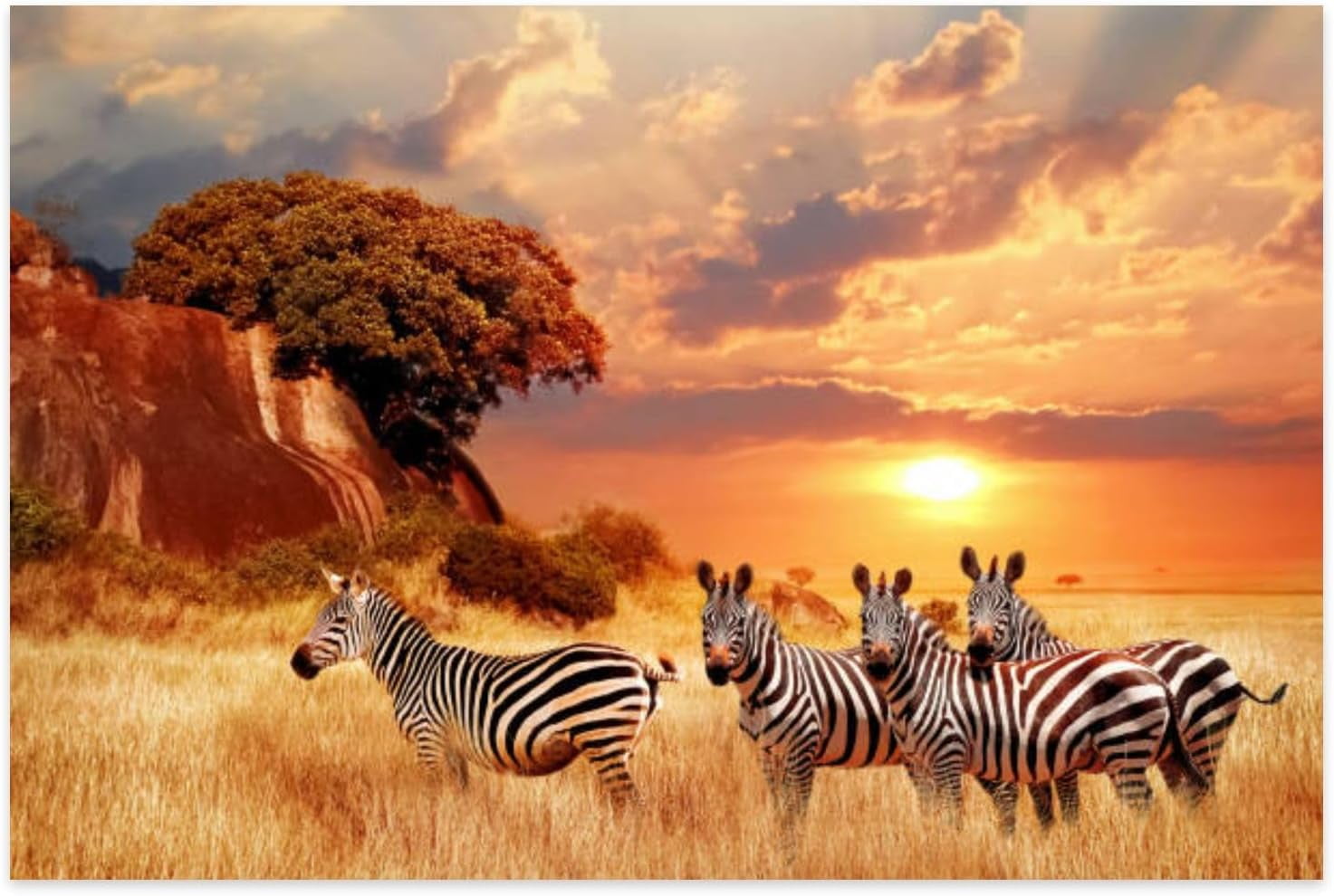 300 Pieces African Animal Puzzles Savanna Scene African Wild Zebras ...