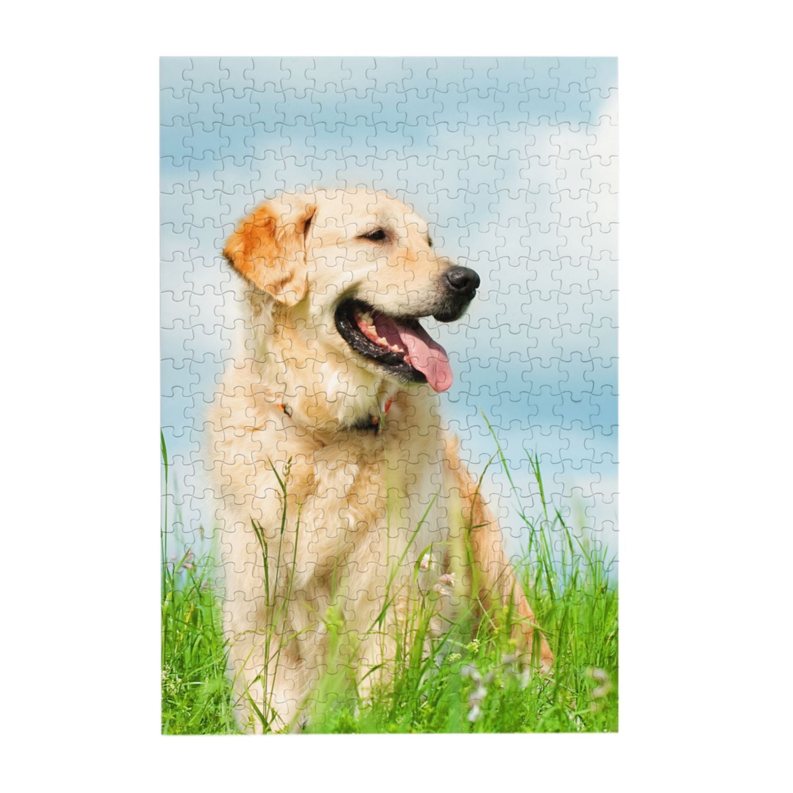 300 Pieces Jigsaw Puzzle for Adults and Kids - Cute Labrador Dog ...