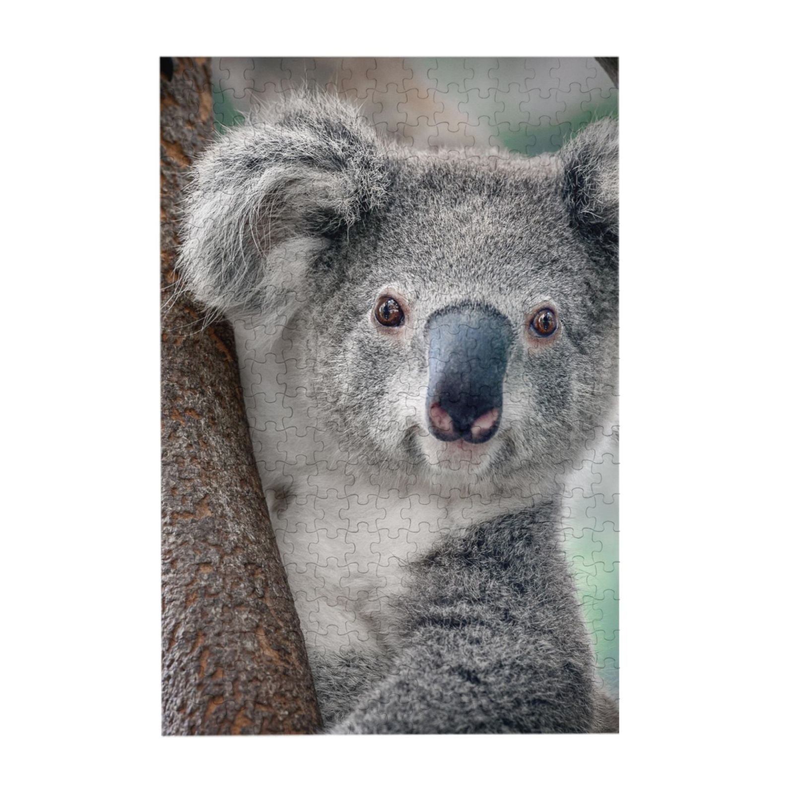 300 Pieces Jigsaw Puzzle for Adults and Kids - Laid-Back Koala Puzzle ...