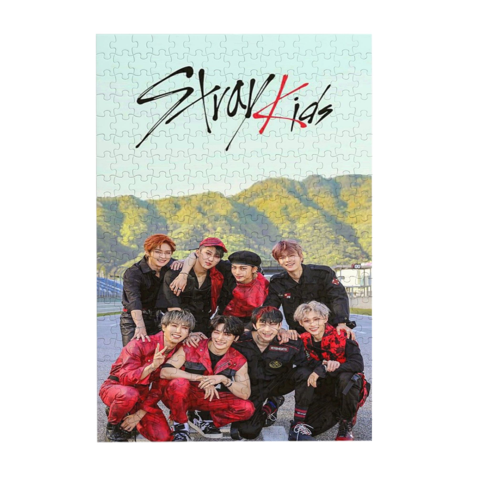 300 Pieces Stray Kids Puzzle for Adults and Teenagers Cartoon Jigsaw ...