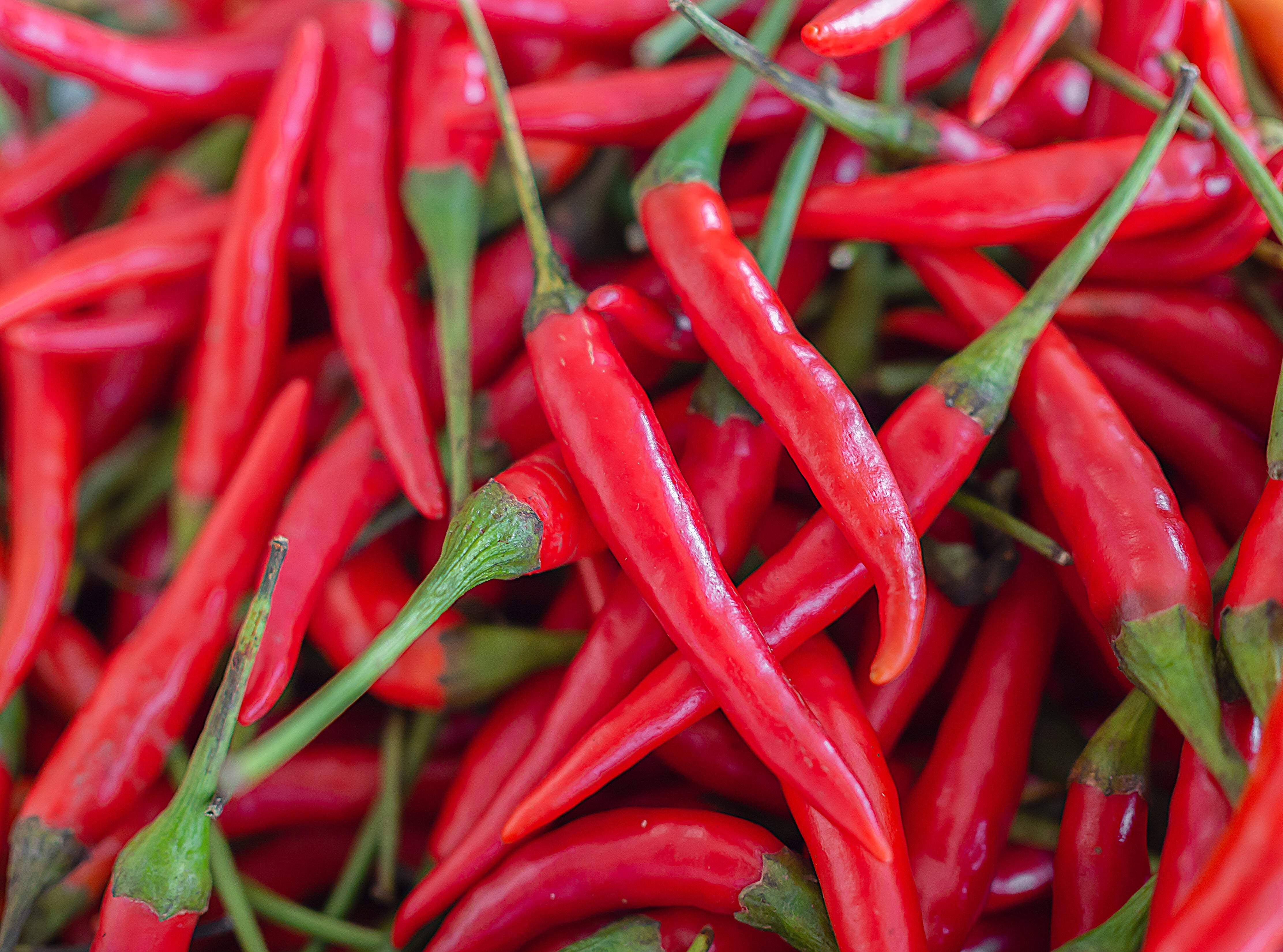 300 Seeds LONG Red CAYENNE PEPPER Capsicum Annuum Vegetable Seeds ...