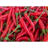 300 Seeds LONG Red CAYENNE PEPPER Capsicum Annuum Vegetable Seeds ...