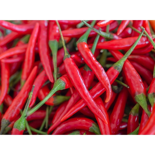 300 Seeds LONG Red CAYENNE PEPPER Capsicum Annuum Vegetable Seeds ...