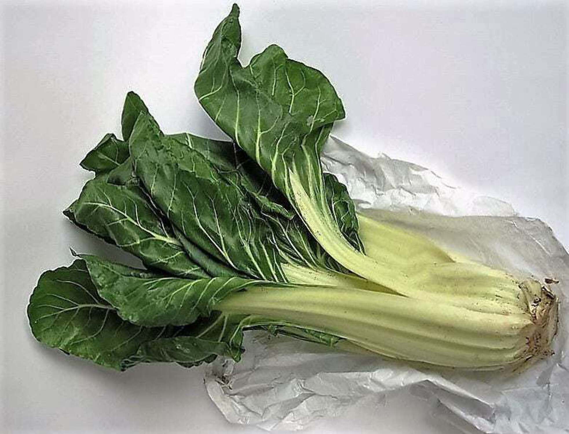 Seedville 300 Lucullus Swiss Chard Plant Seeds - Walmart.com