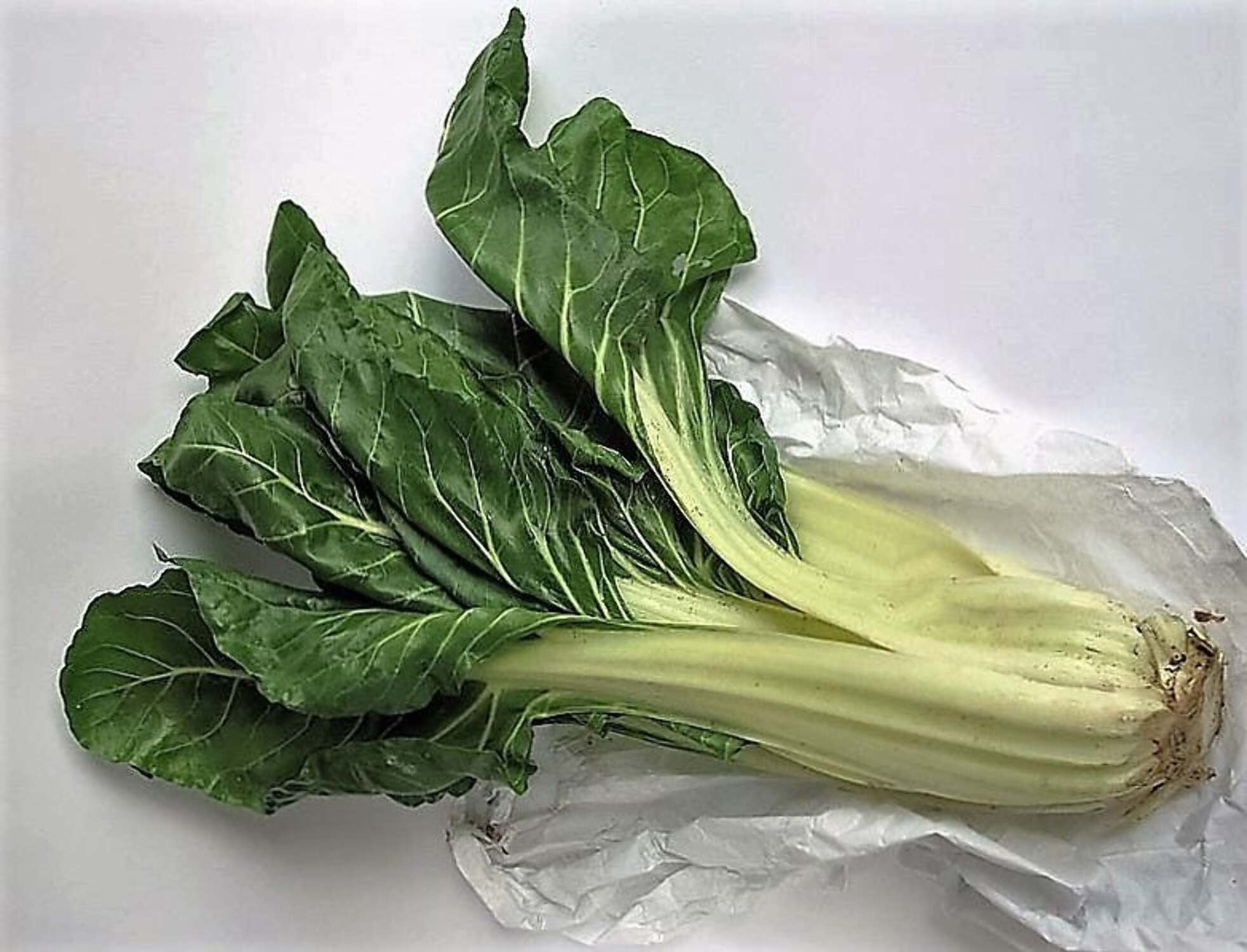 300 Lucullus Swiss Chard Seeds, Beta Vulgaris White Perpetual Spinach ...