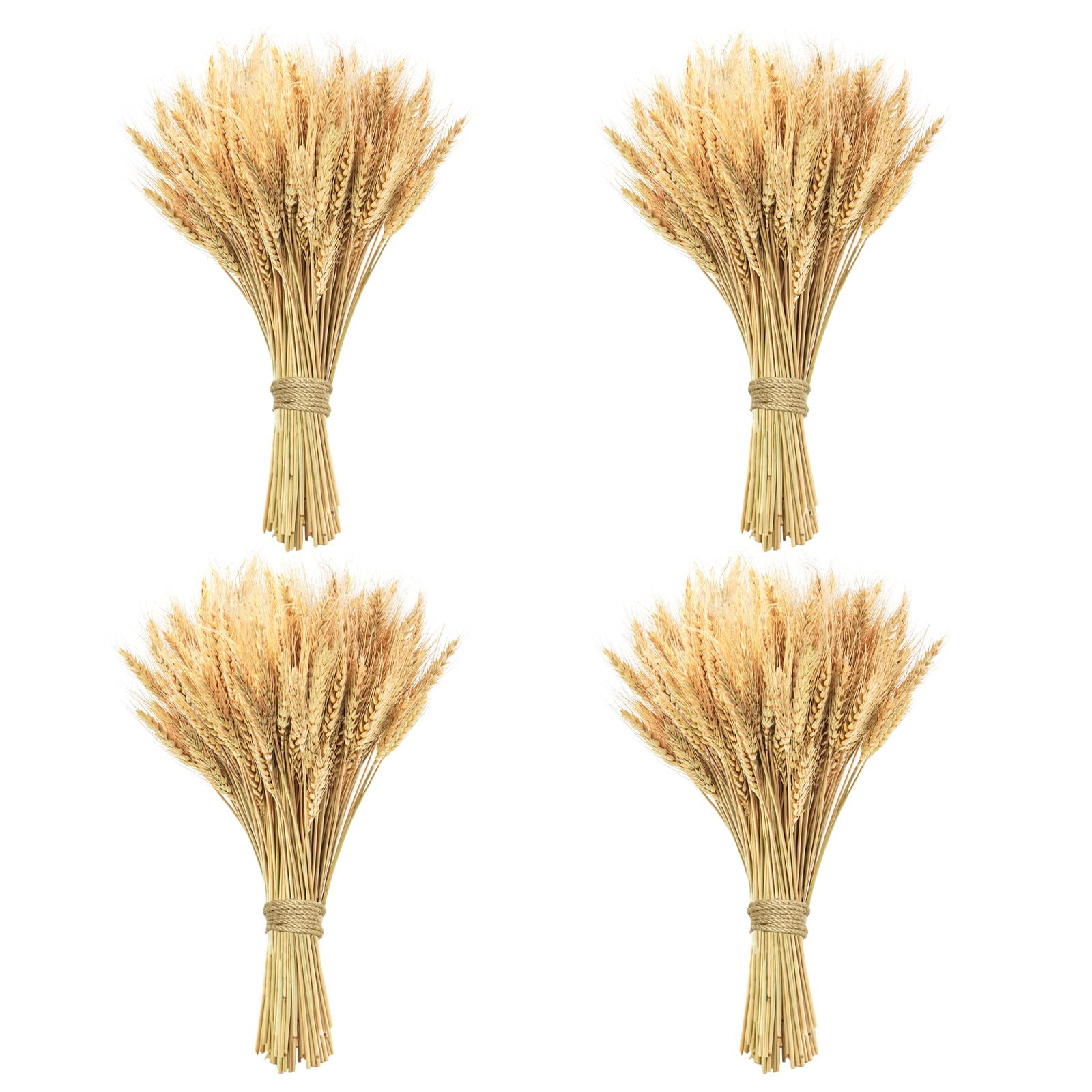 300 Stems Dried Wheat - 18 Inch, Wedding & Home Decor, DIY Arrangements ...