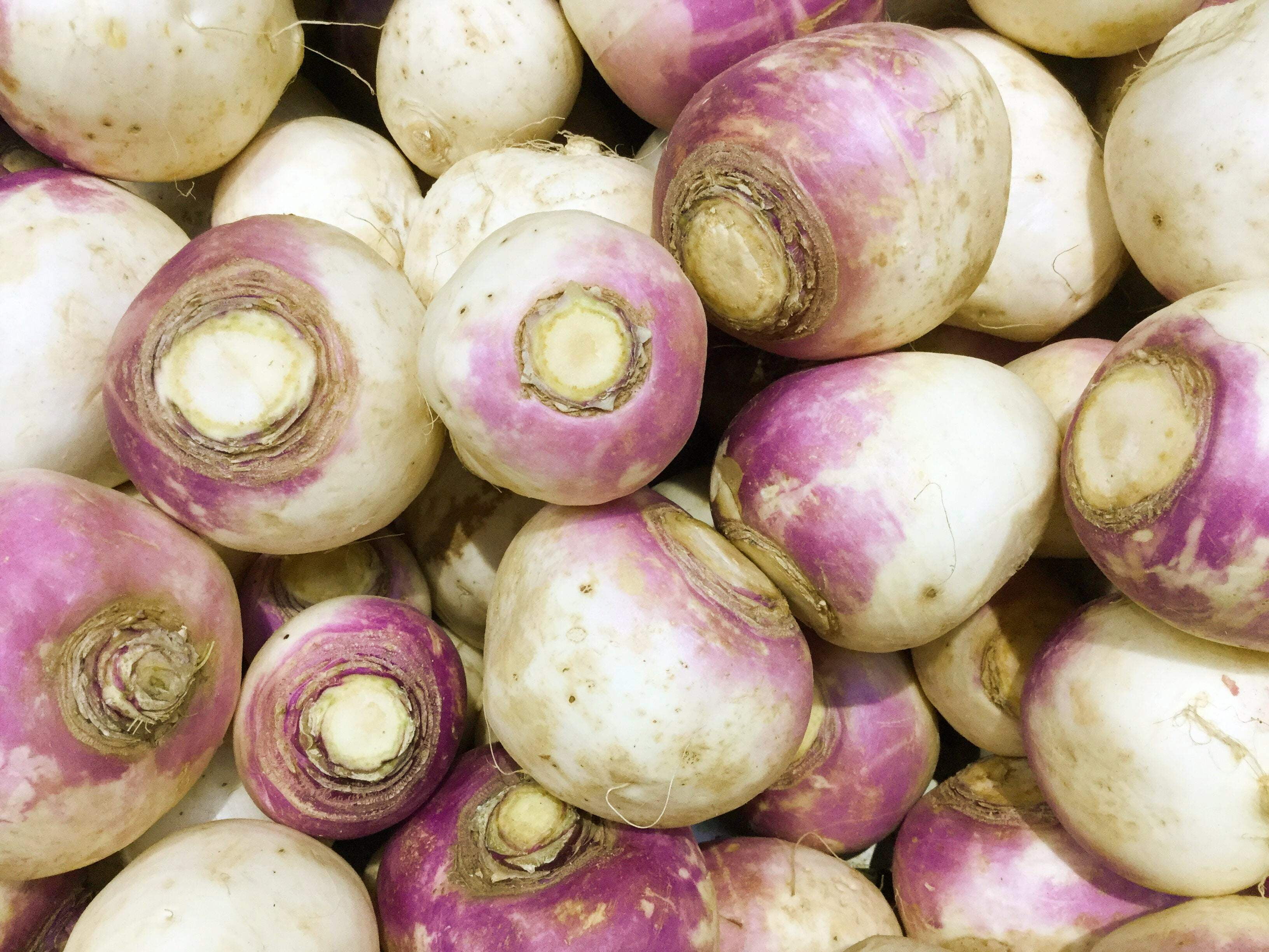 3000 LAURENTIAN RUTABAGA Brassica Napus Vegetable Seeds - Walmart.com