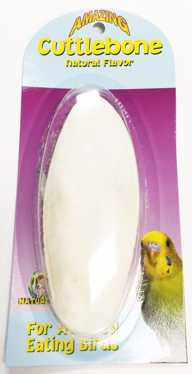 30001 Medium Cuttlebone - Walmart.com