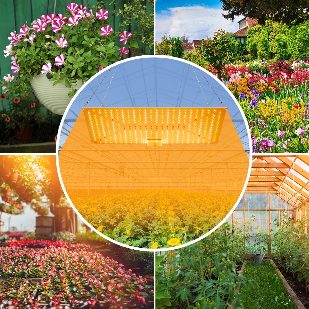 LED Grow Lights, 2000/3000W Growth Lights, 240/360LEDs, Full Spectrum ...