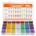300Pcs Car Fuse Assortment Kit, 160 Mini Blade Fuses Automotive + 90 ...