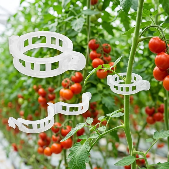 300Pcs Tomato Clips, Thickened Plant Support Clips for Climbing Plants ...