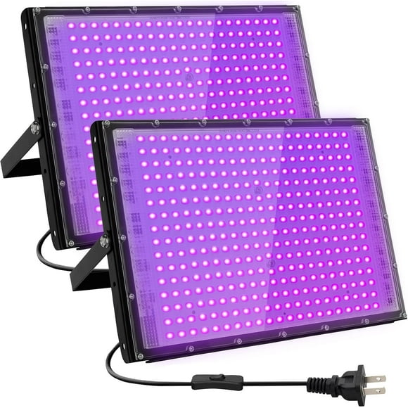 Purple Flood Light