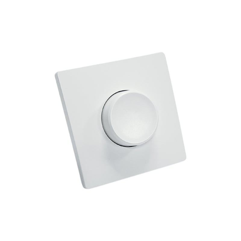 300W Smart Dimmable Wall Switch Wireless Switch for Living Room Ceiling ...