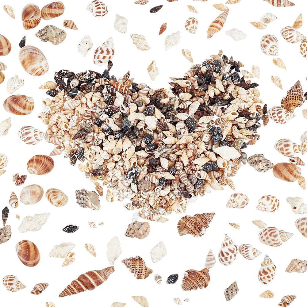 300g 15 Styles Decorative Craft Shells Natural Mixed Shell Beads Spiral ...