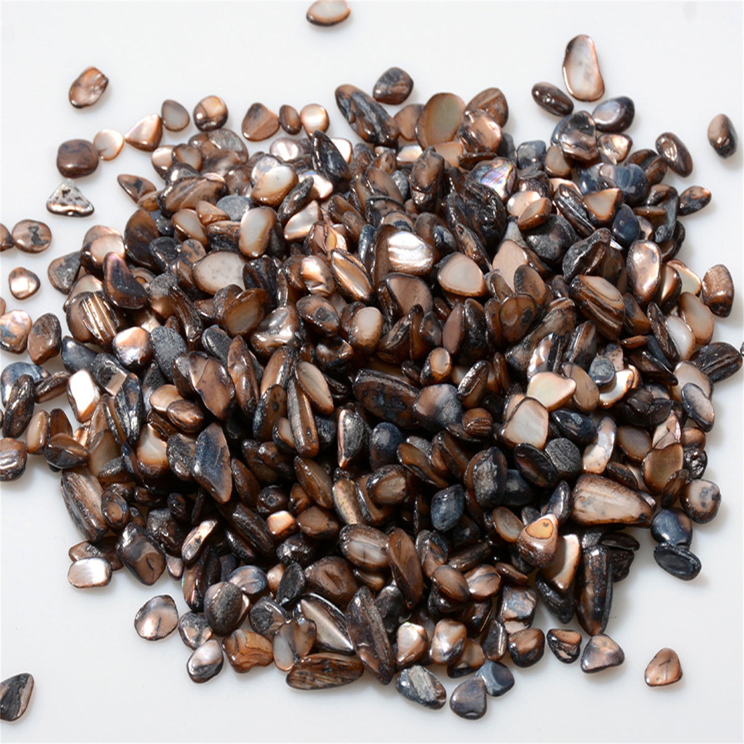 300g Natural Crushed Shells for Craft,Bexikou Irregular Sea Shell ...