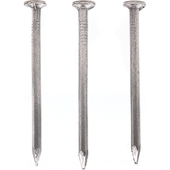 300pcs 20mm / 0.75 Inch Length Flat Nails for Picture Wall Hanging ...