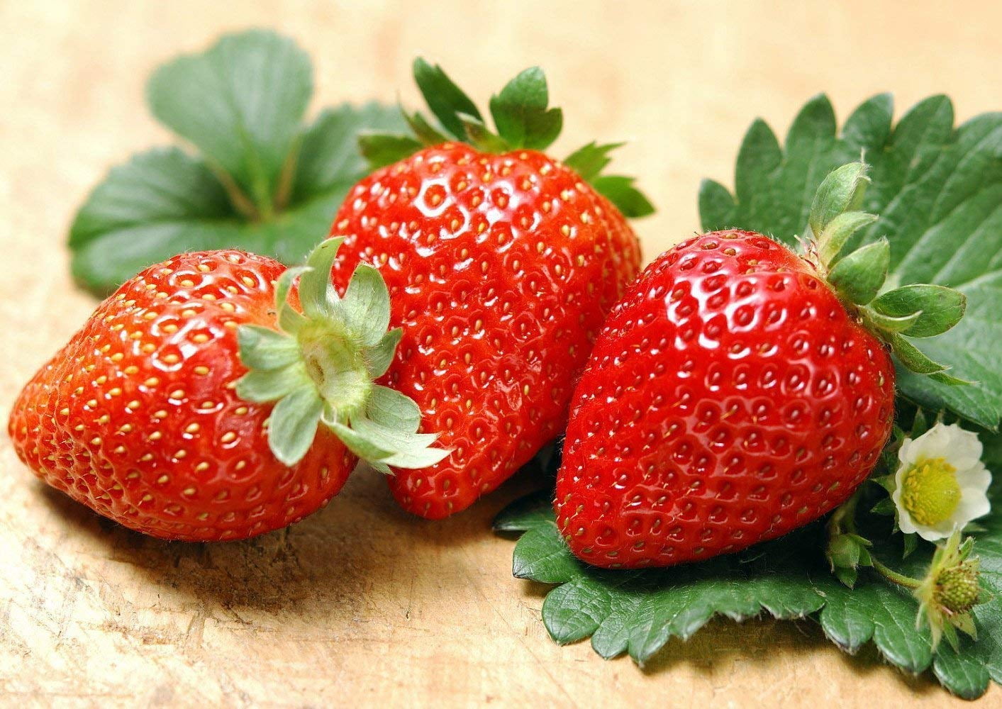 300pcs Giant Strawberry Seeds, Sweet Red Strawberry/Organic Garden ...