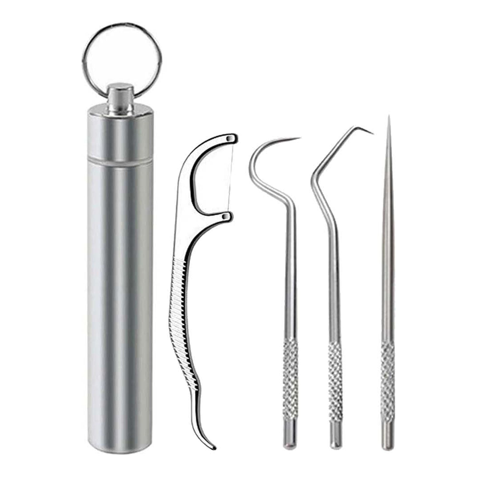 Alaparte 304 Metal Tooth Picking Tool, Dental Picks, Includes Dental ...