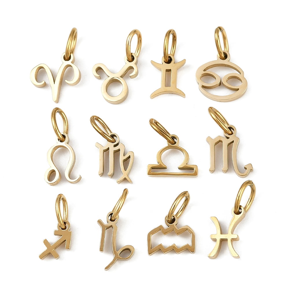 304 Stainless Steel Charms with Jump Rings Twelve Constellations Charms ...