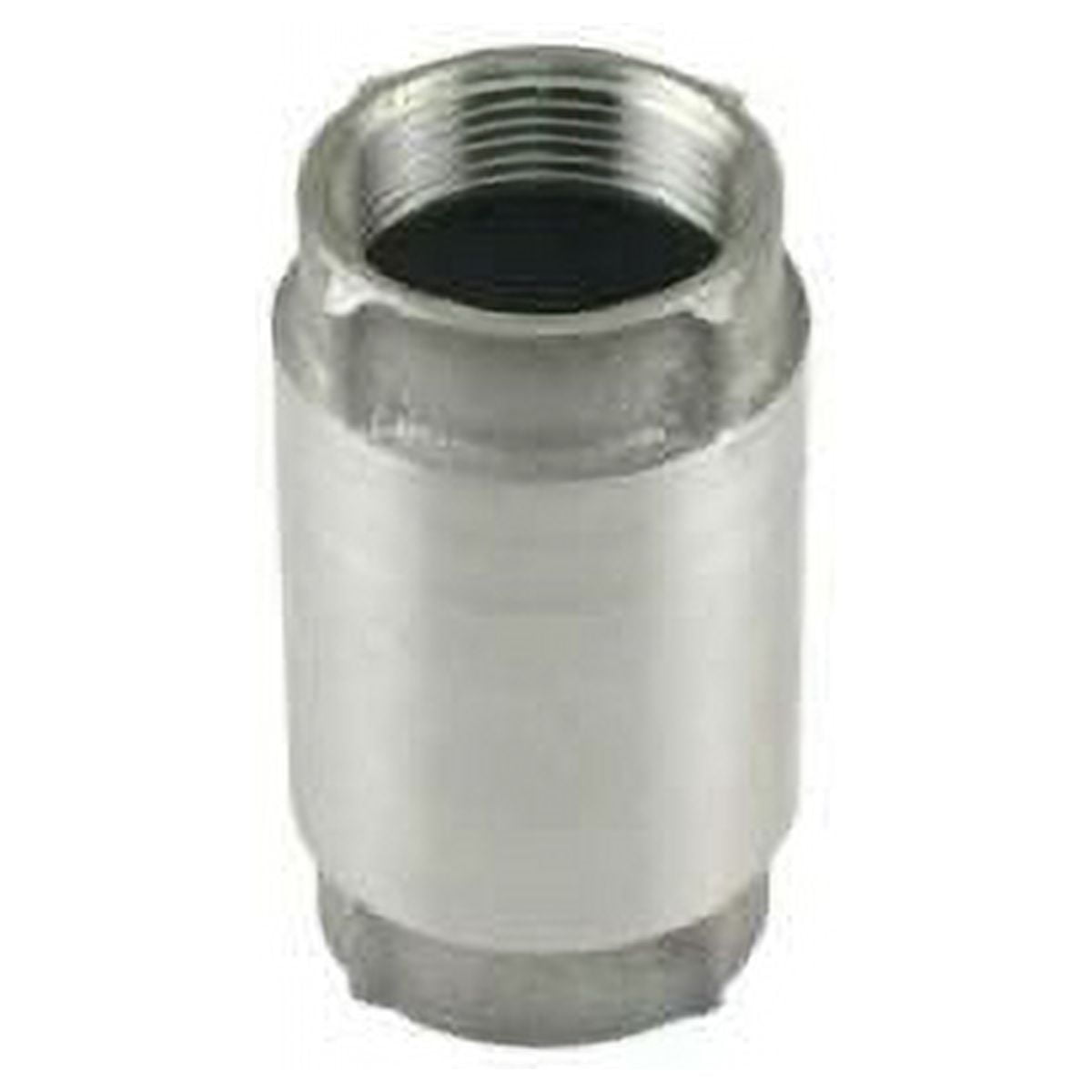 304 Stainless Steel Check Valve 1" - Walmart.com